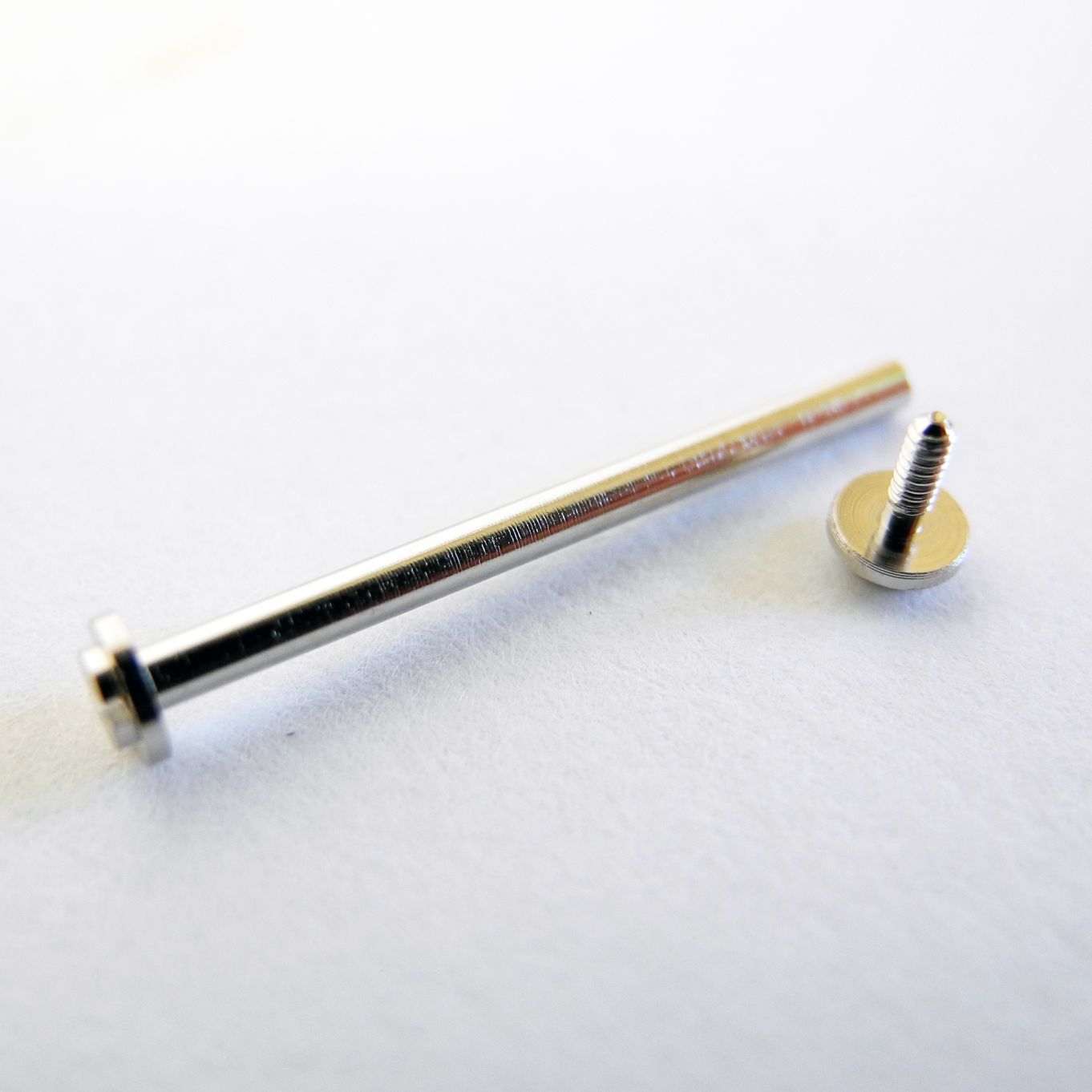 Swiss Chrome Plated Screw Case Watch Bars - MS417